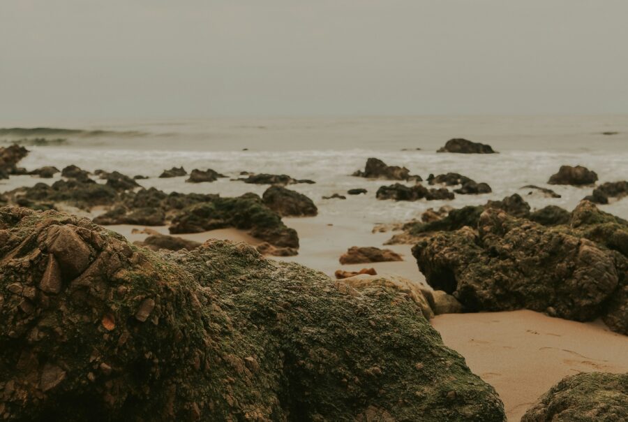 Rhythms of Tomorrow: The New Wave of Music Genres in the 2020s | Blue ...